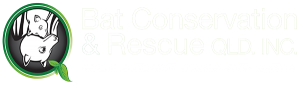 Login – Bat Conservation and Rescue QLD Inc