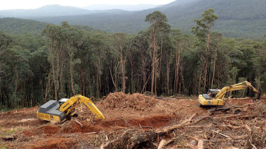 Land clearing and accelerating habitat destruction – Bat Conservation ...